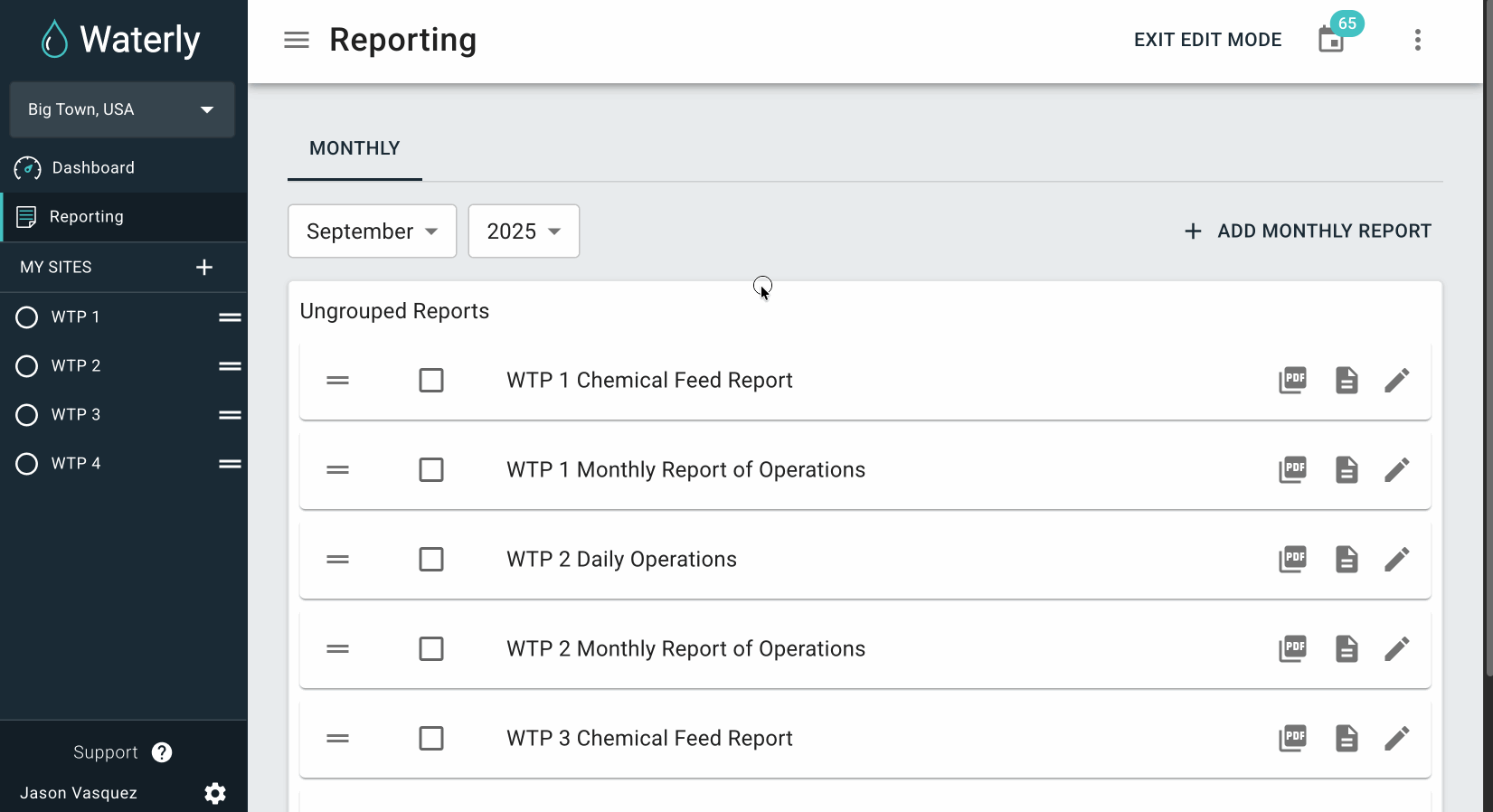 Report Management - Grouping Multiple Page Reports and Preview
