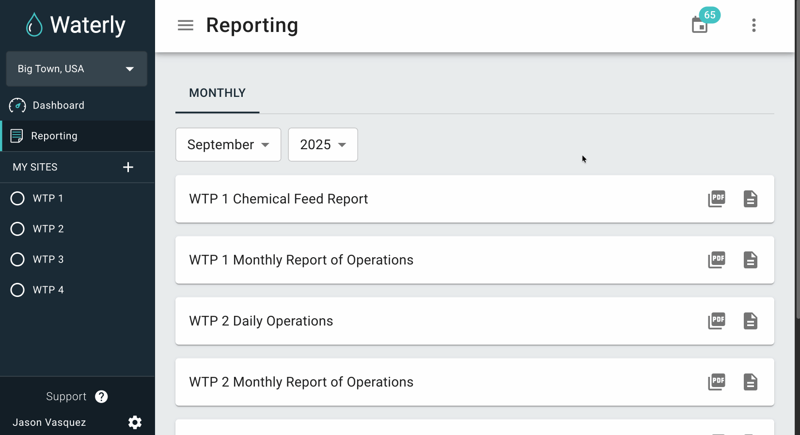 Report Management - Grouping Multiple Page Reports and Preview