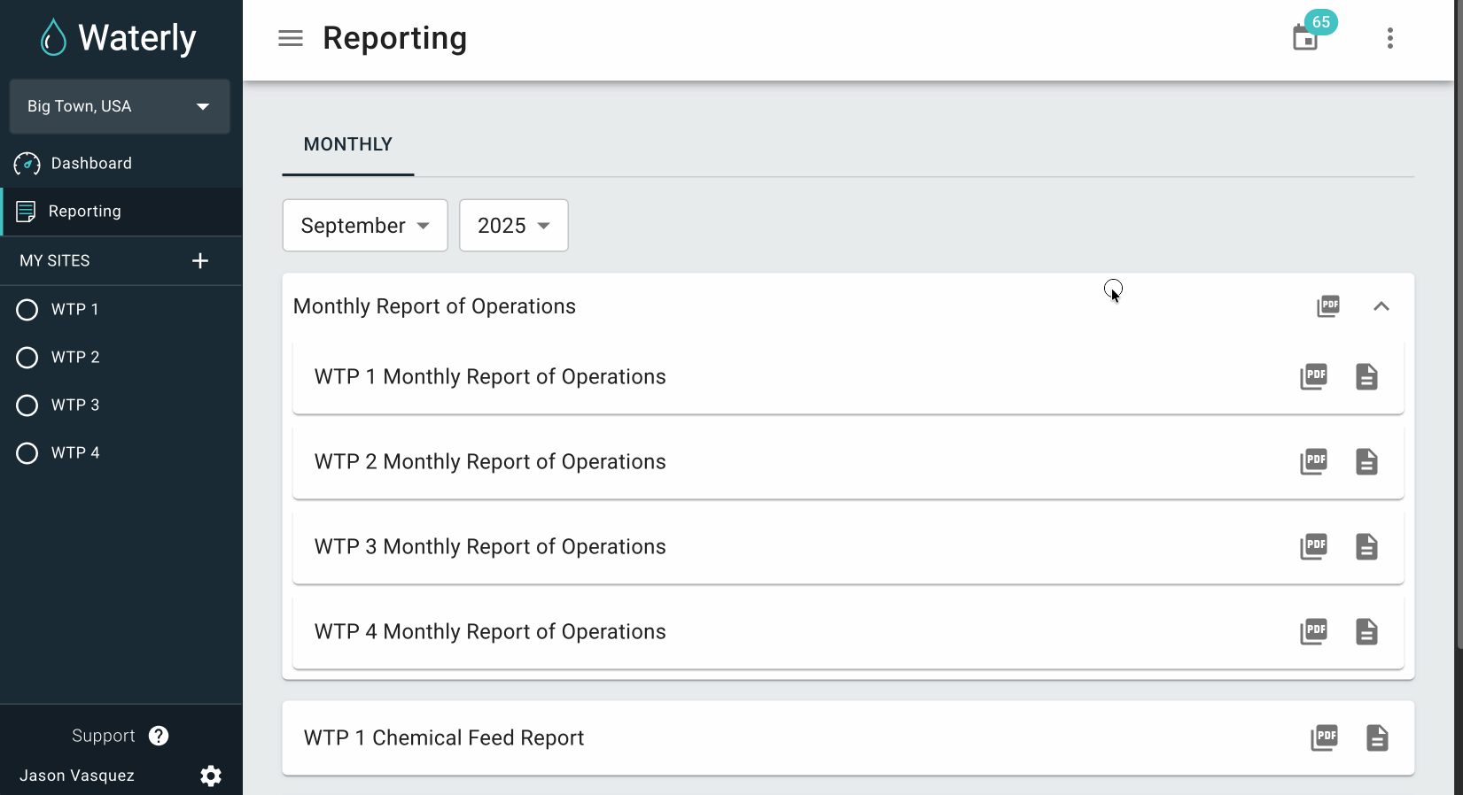 Report Management - Grouping Multiple Page Reports and Preview